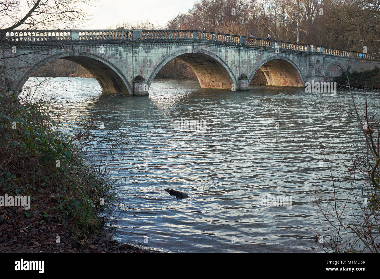Clumber park national trust hi-res stock photography and images - Alamy