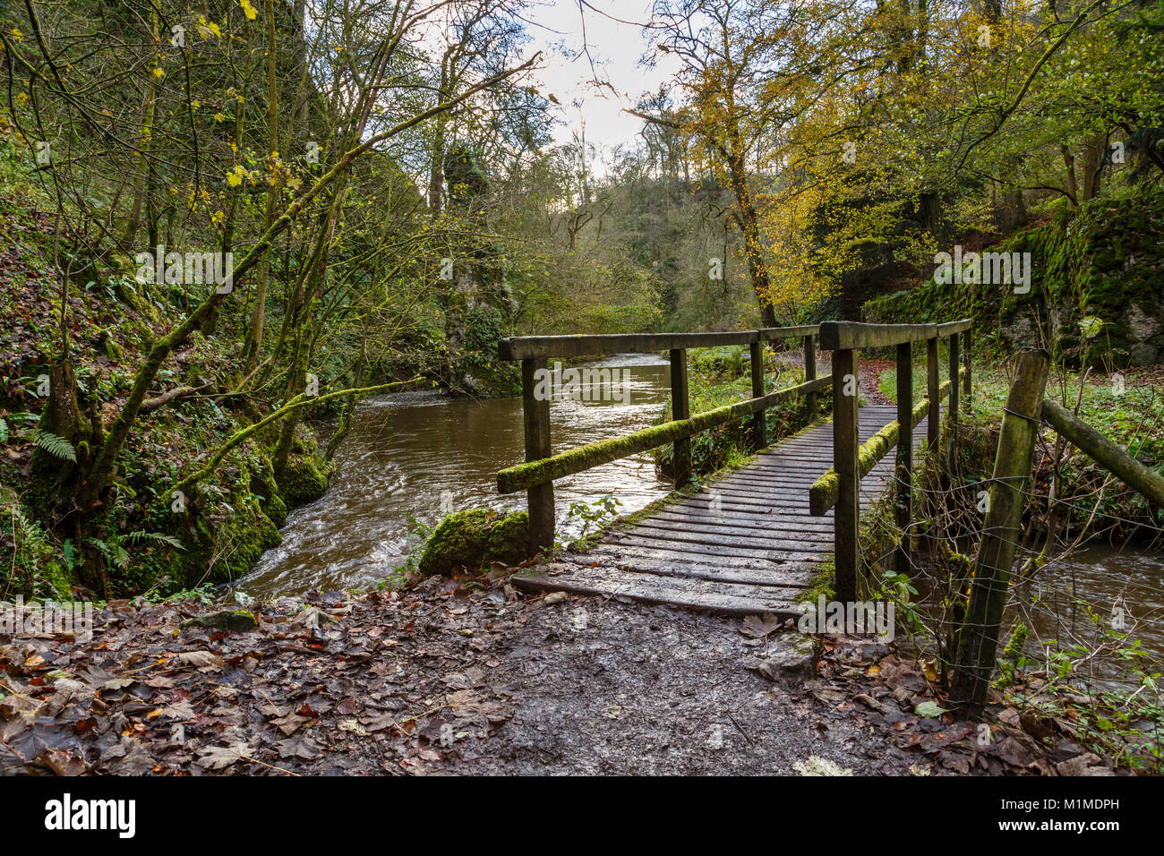 The Pike Pool, Beresford Dale, Dove Valley, Peak District National Park ...