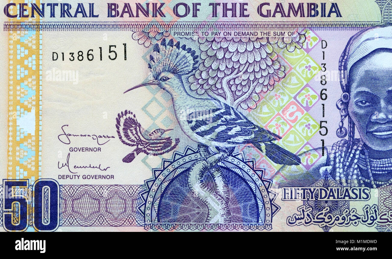 Gambia 50 Fifty Dalasi Bank Notes Stock Photo - Alamy