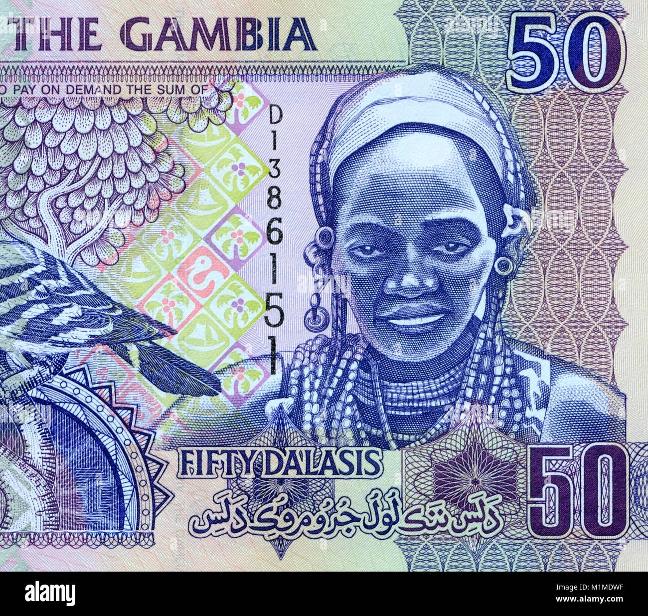 Gambia 50 Fifty Dalasi Bank Notes Stock Photo - Alamy