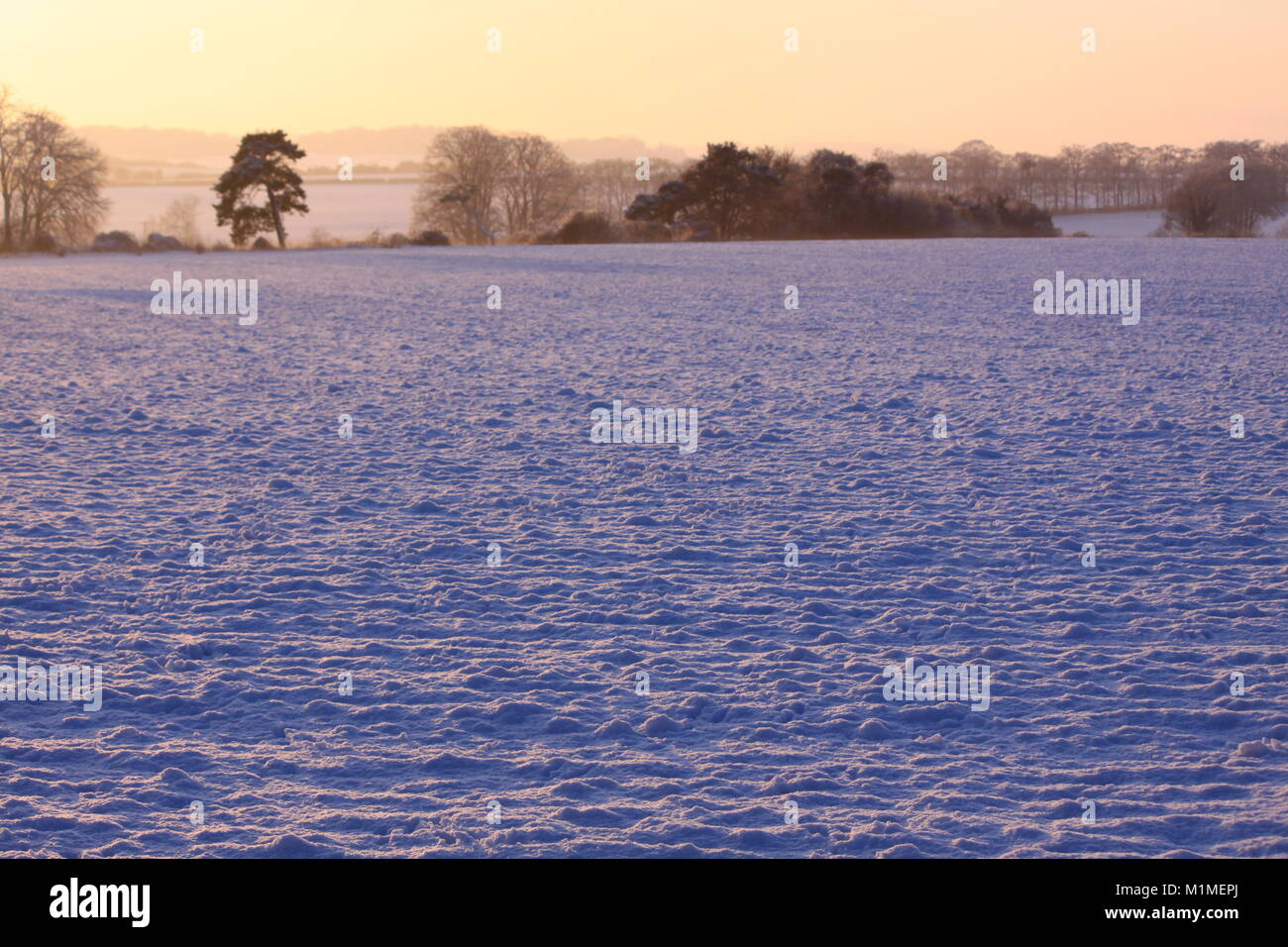 Snowy cold winter scene, Chieveley, Newbury, Berkshire England Stock ...