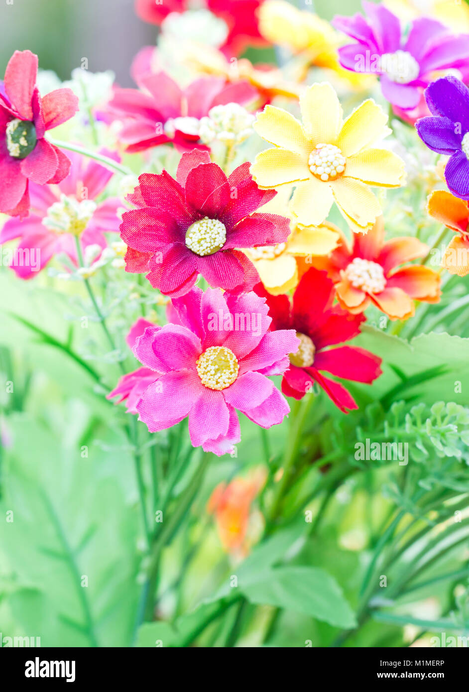 Close up of artificial colorful flowers Stock Photo - Alamy