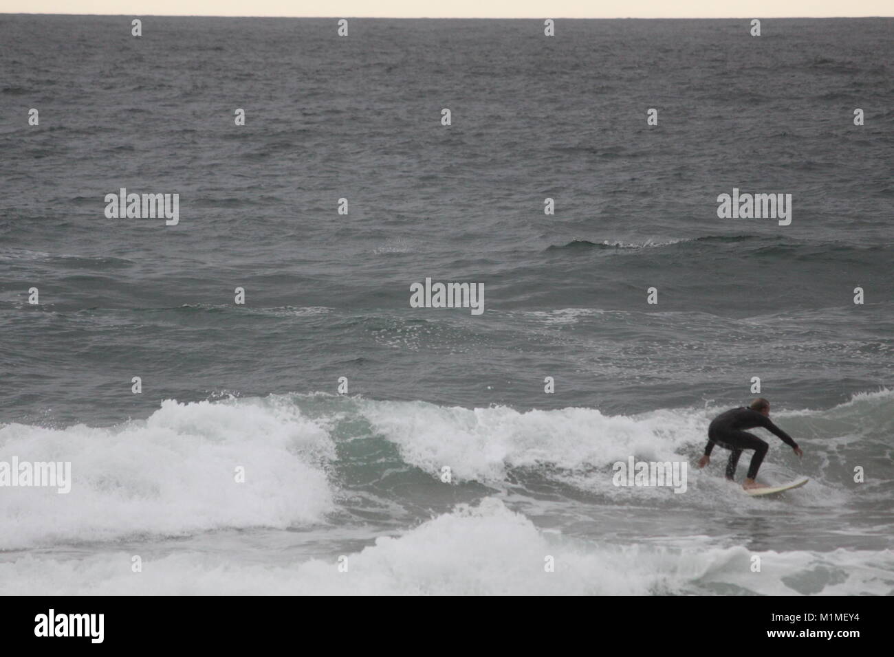 Surfers in Devon with Surfing Dolphins, Trebarwith Strand Beach ...