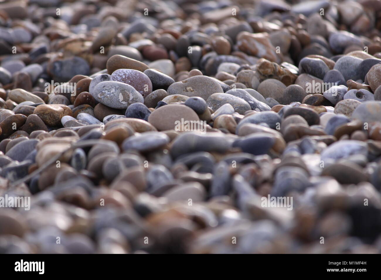 Malcolm stone hi-res stock photography and images - Alamy