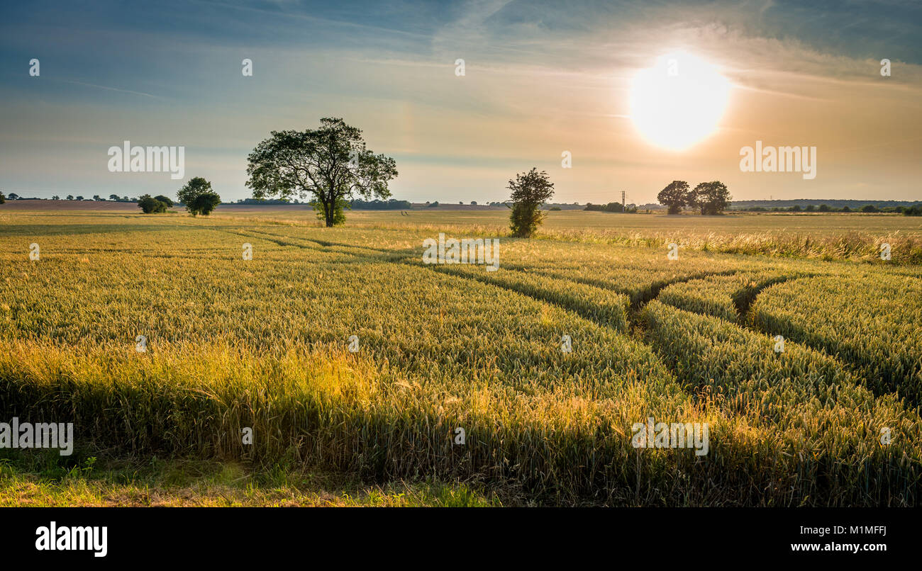 A typical farming landscape scene of arable fields on the edge of the ...