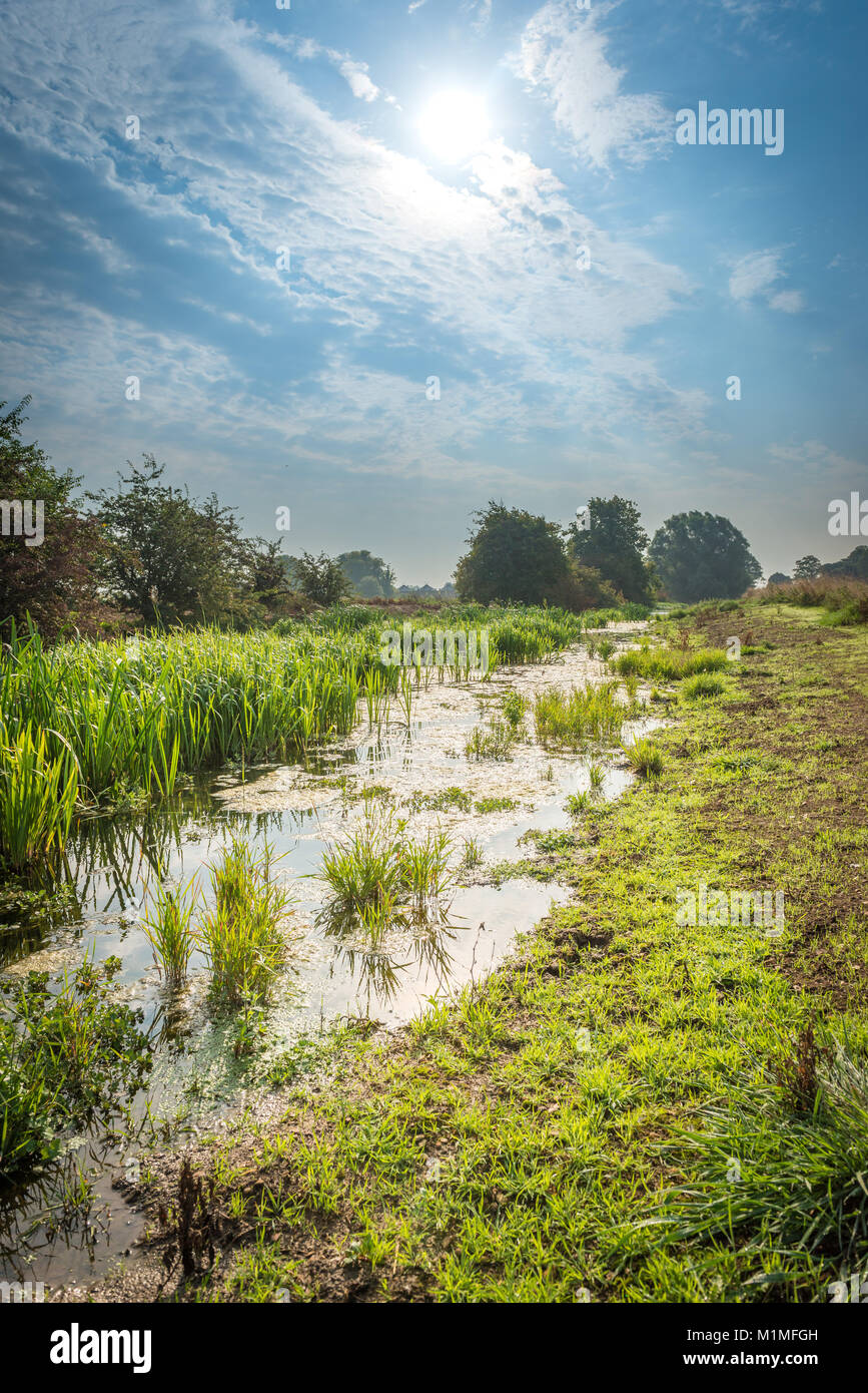 The wetlands and lowlands of the Lincolnshire Fens during an early ...
