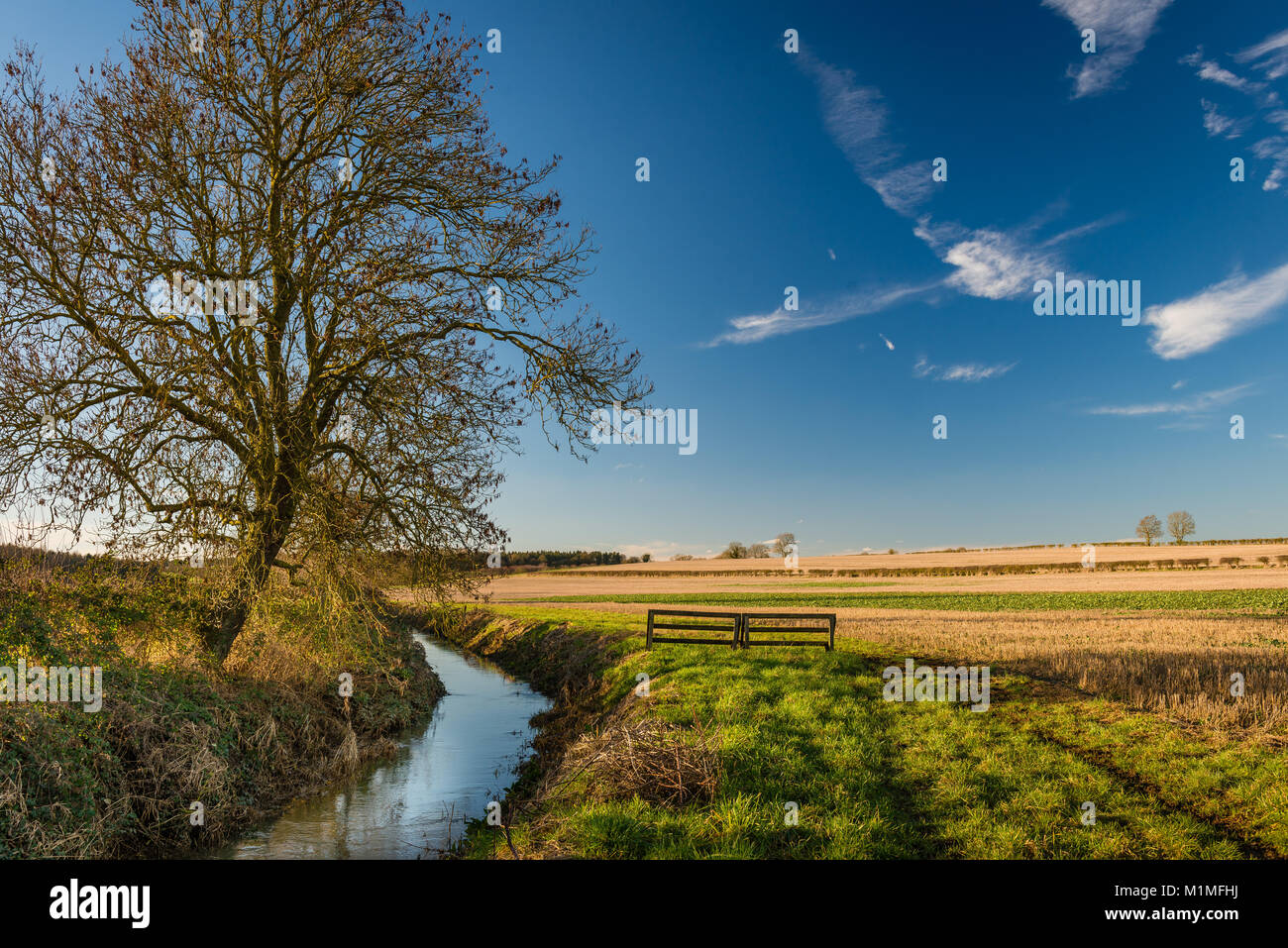Typical arable farming hi-res stock photography and images - Alamy