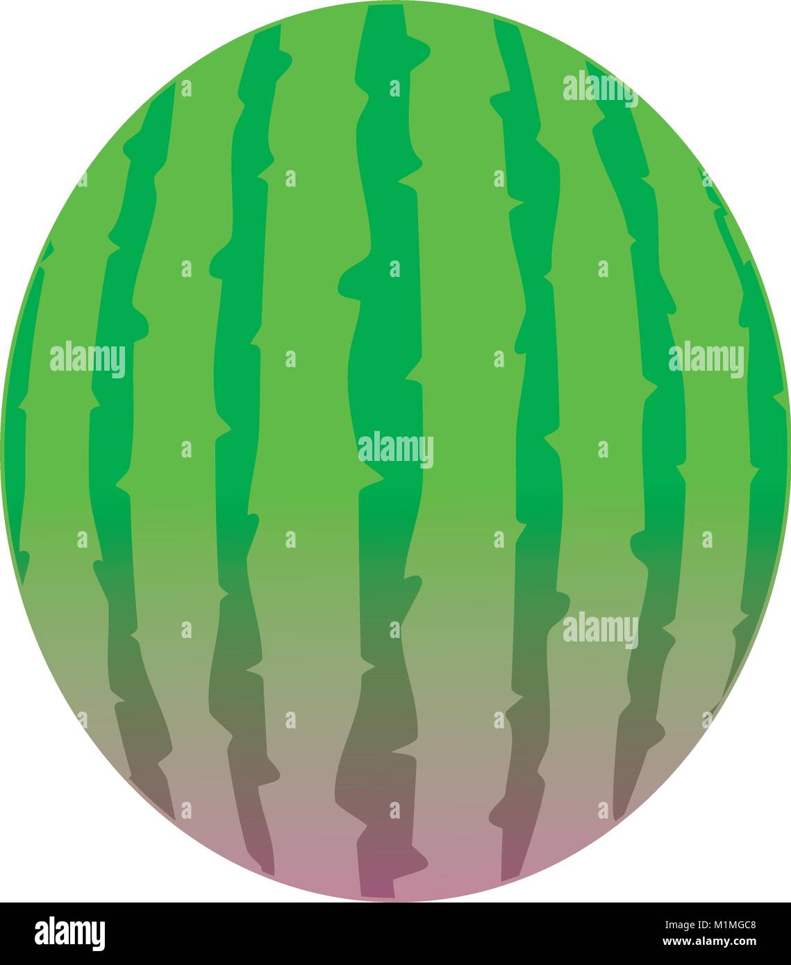 Isolated watermelon design Stock Vector Image & Art - Alamy