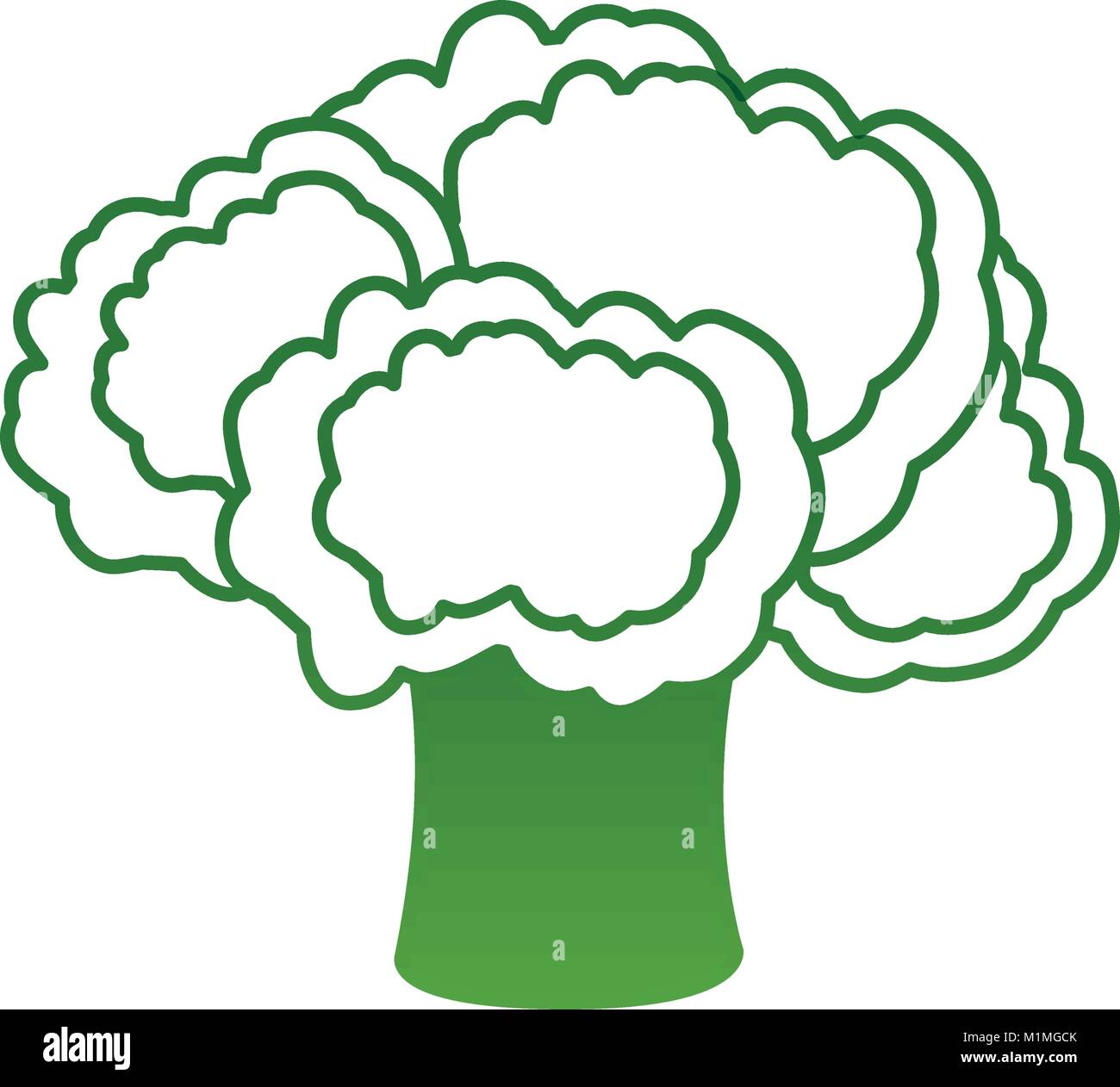 Isolated broccoli design Stock Vector Image & Art - Alamy