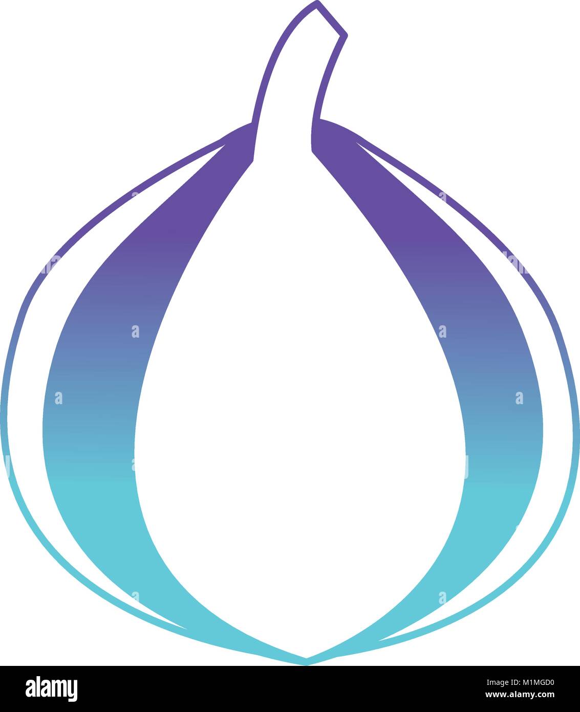 Isolated onion design Stock Vector Image & Art - Alamy