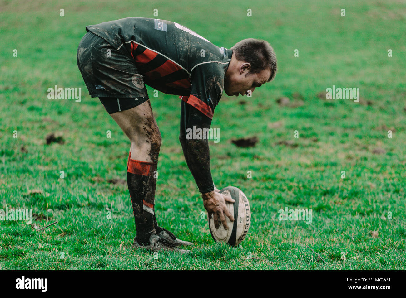 Hayle football club hi-res stock photography and images - Alamy