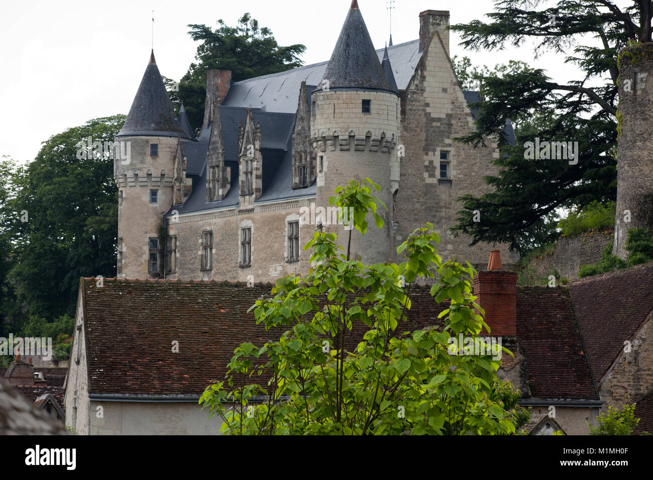 Castle of Montresor in the Loire Valley, France Stock Photo - Alamy
