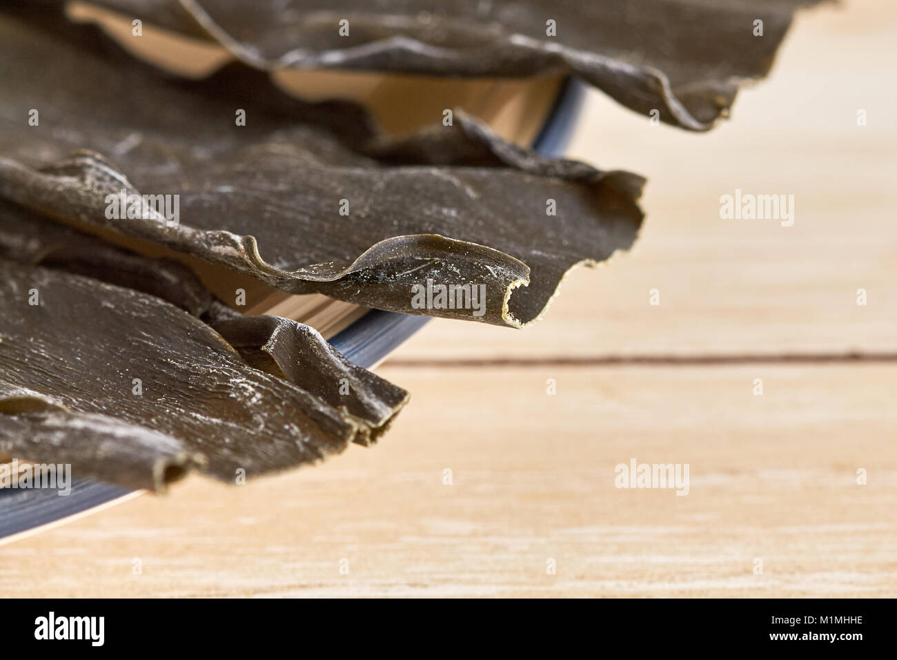 Dried kombu seaweed (Laminariaceae longissima) in a plate. Copy space ...