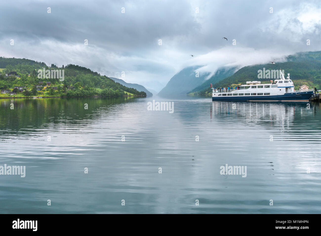 a ferry and the fjord at Ulvik, Norway, Scandinavia, Ulvikafjorden ...