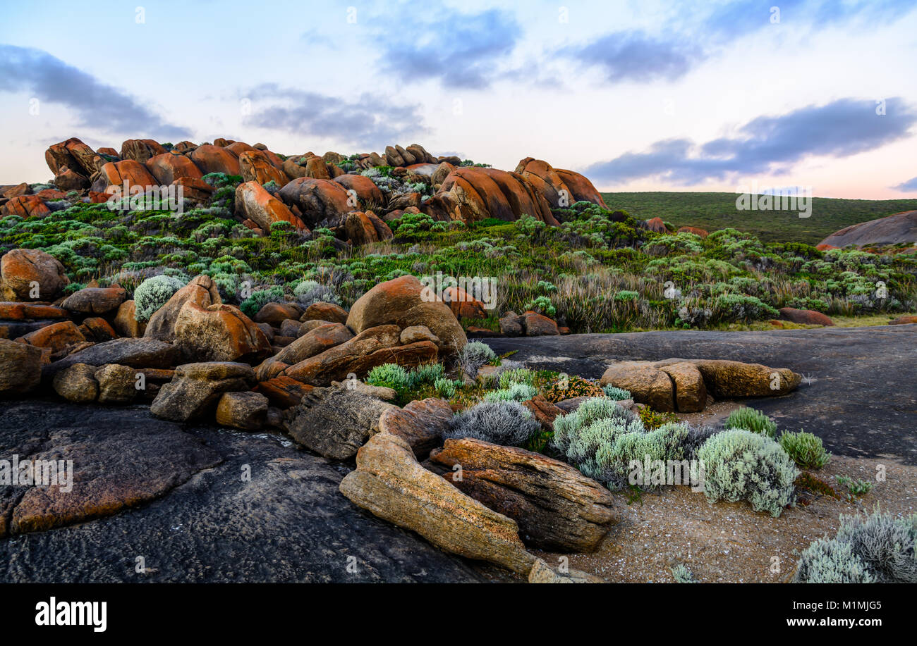 Iron rich rocks on beach, Western Australia, Australia Stock Photo - Alamy