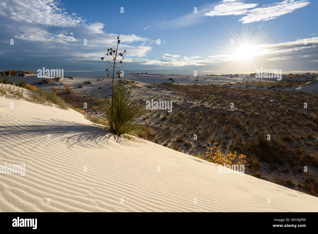 Desert landscape, White Sands National Monument, New Mexico, United ...