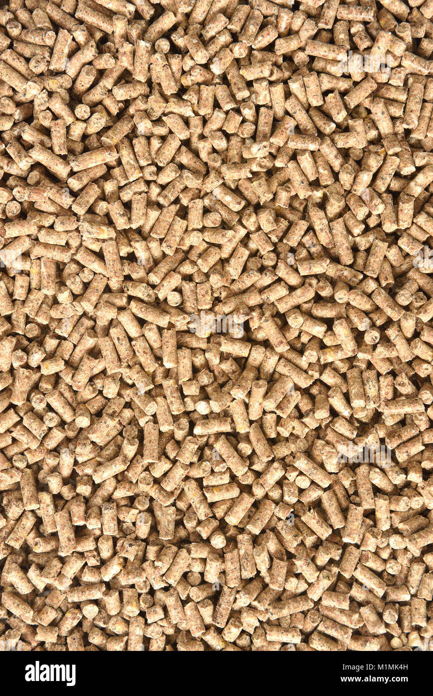 Pet food feed dry granulated hi-res stock photography and images - Alamy