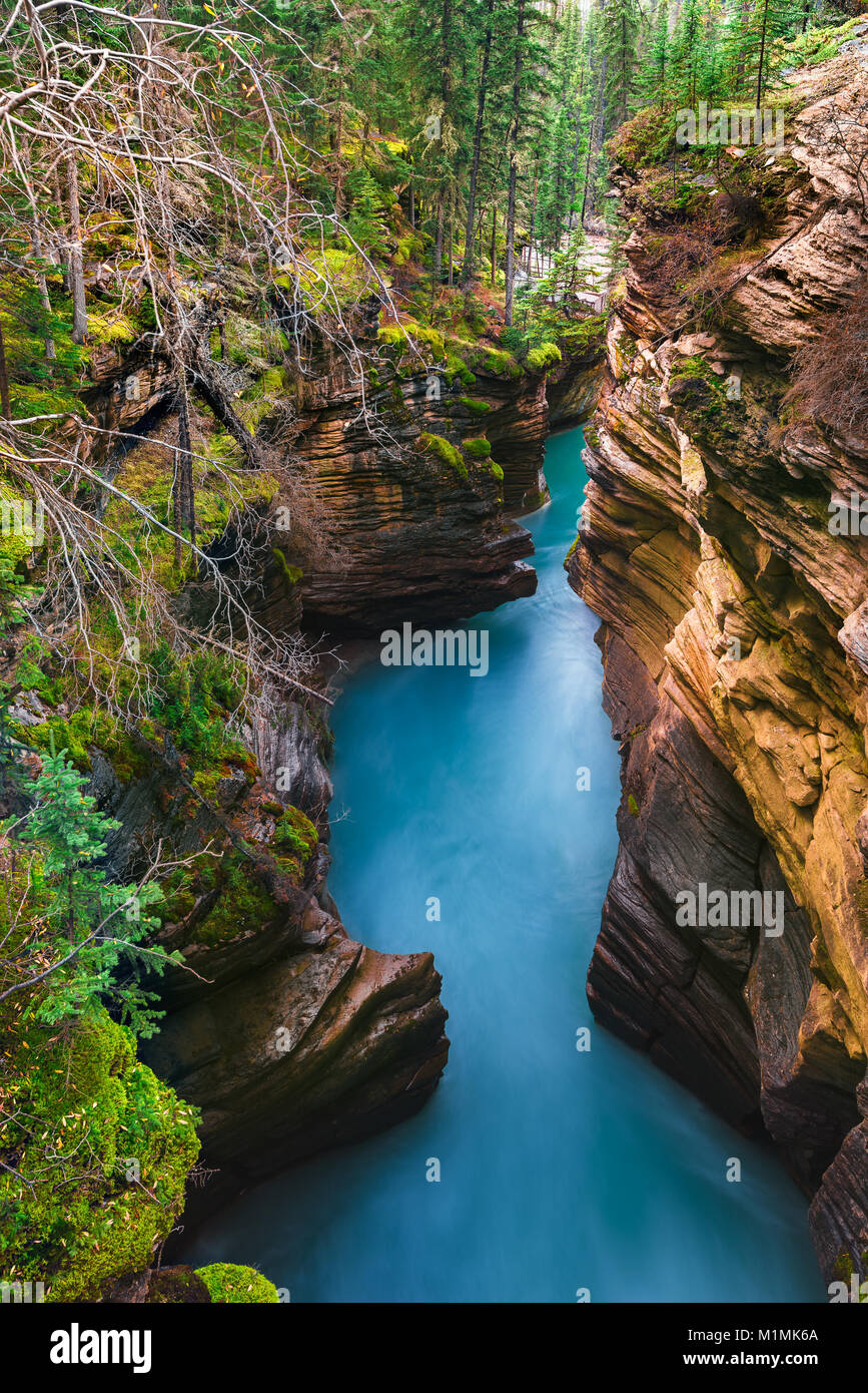 Athabasca Falls, Jasper National Park, Jasper, Alberta, Canada Stock ...