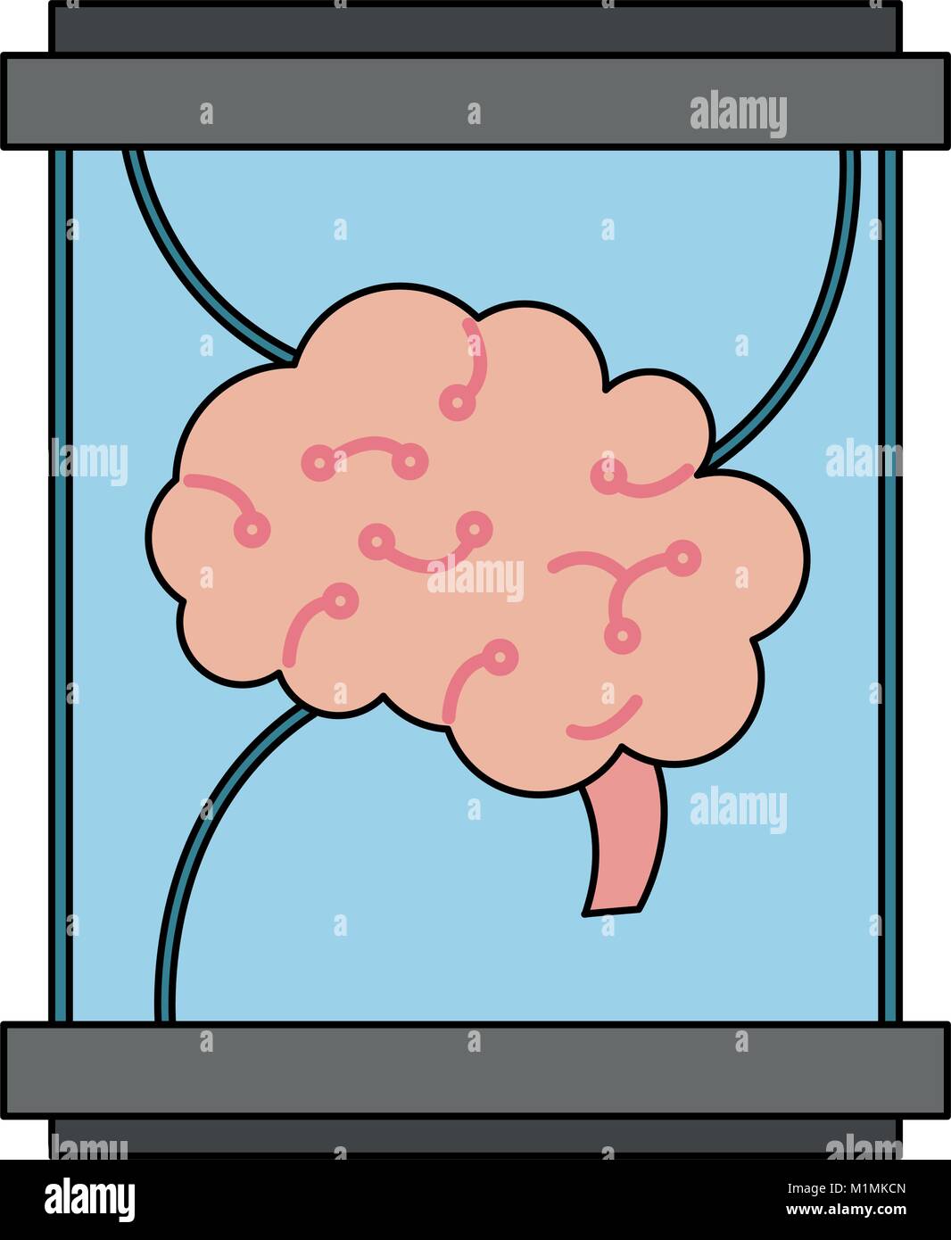 Human Brain Container High Resolution Stock Photography and Images - Alamy