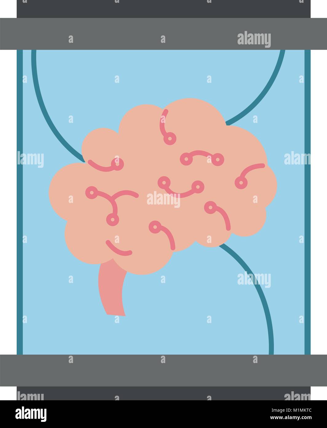 Human brain into glass container Stock Vector Image & Art - Alamy