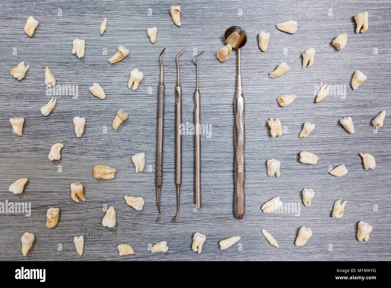 Dentist's tools lie on the table with teeth. Instruments for dentists ...