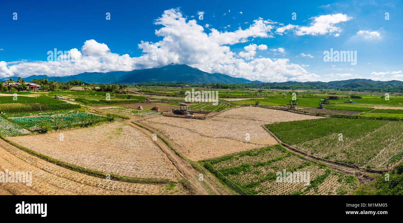 Panorama view of rice field in the north of Thailand with big mountain ...