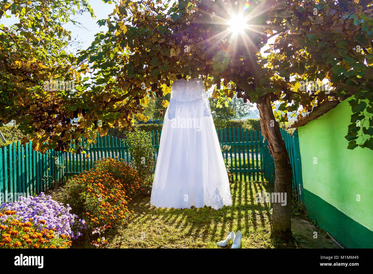 Wedding dress hanging on a tree near flowers. Wedding Dress Stock Photo ...