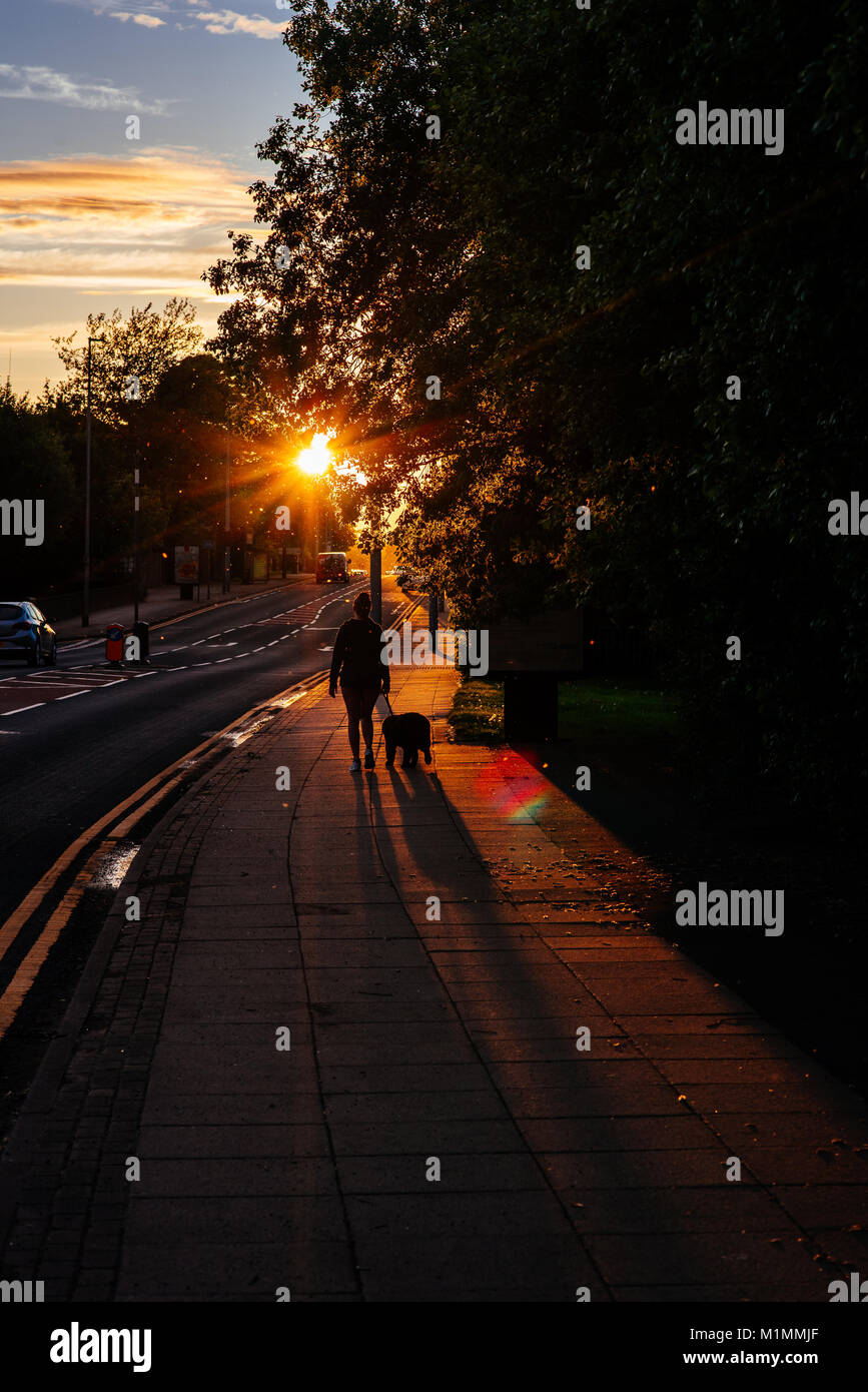 Walk before dark hi-res stock photography and images - Alamy