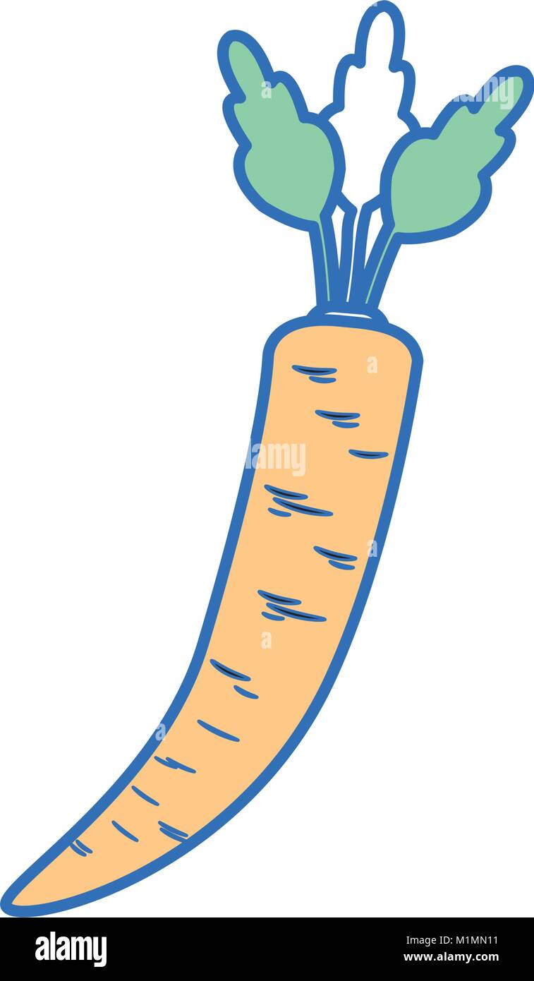 Isolated carrot design Stock Vector Image & Art - Alamy