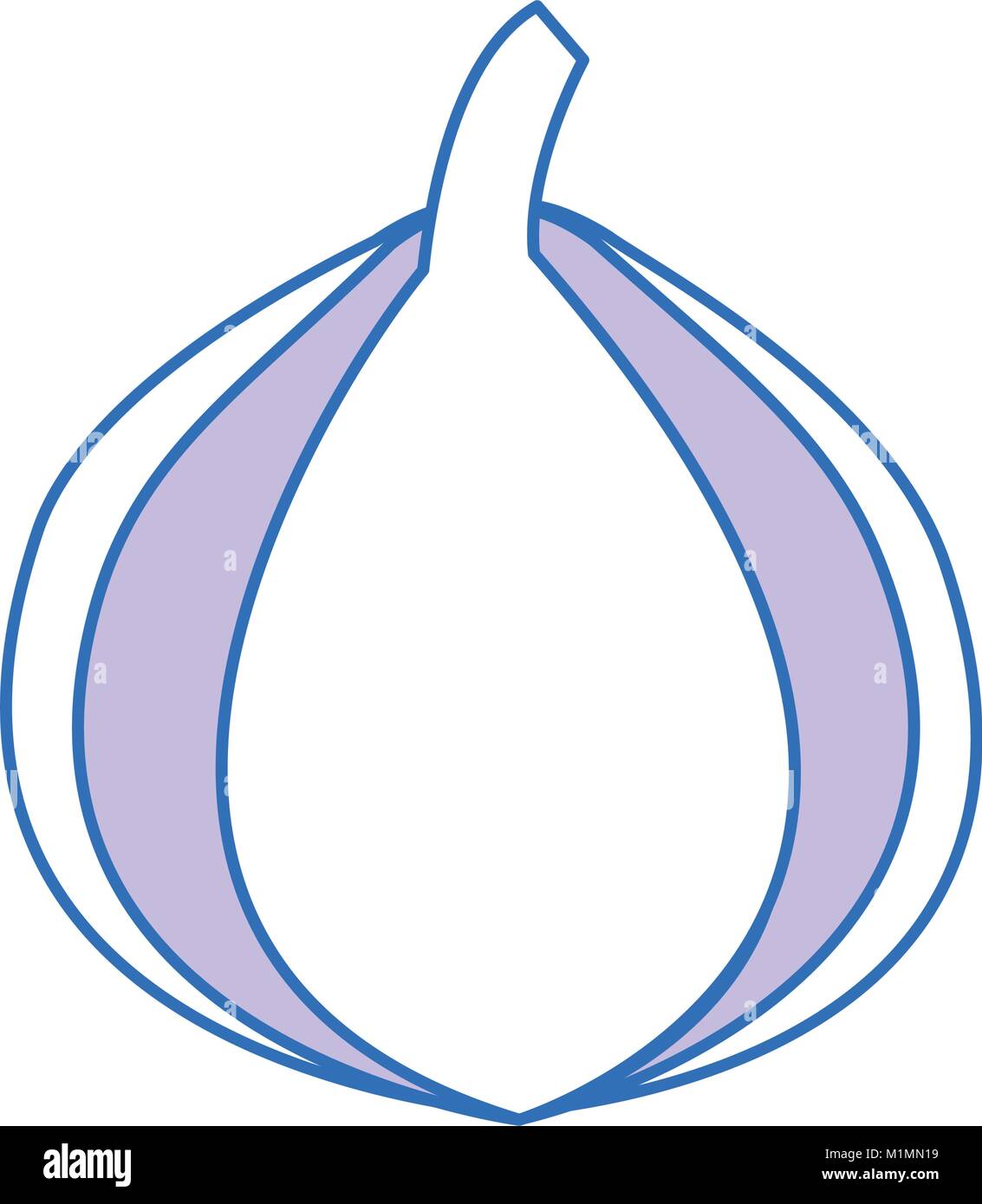 Isolated onion design Stock Vector Image & Art - Alamy