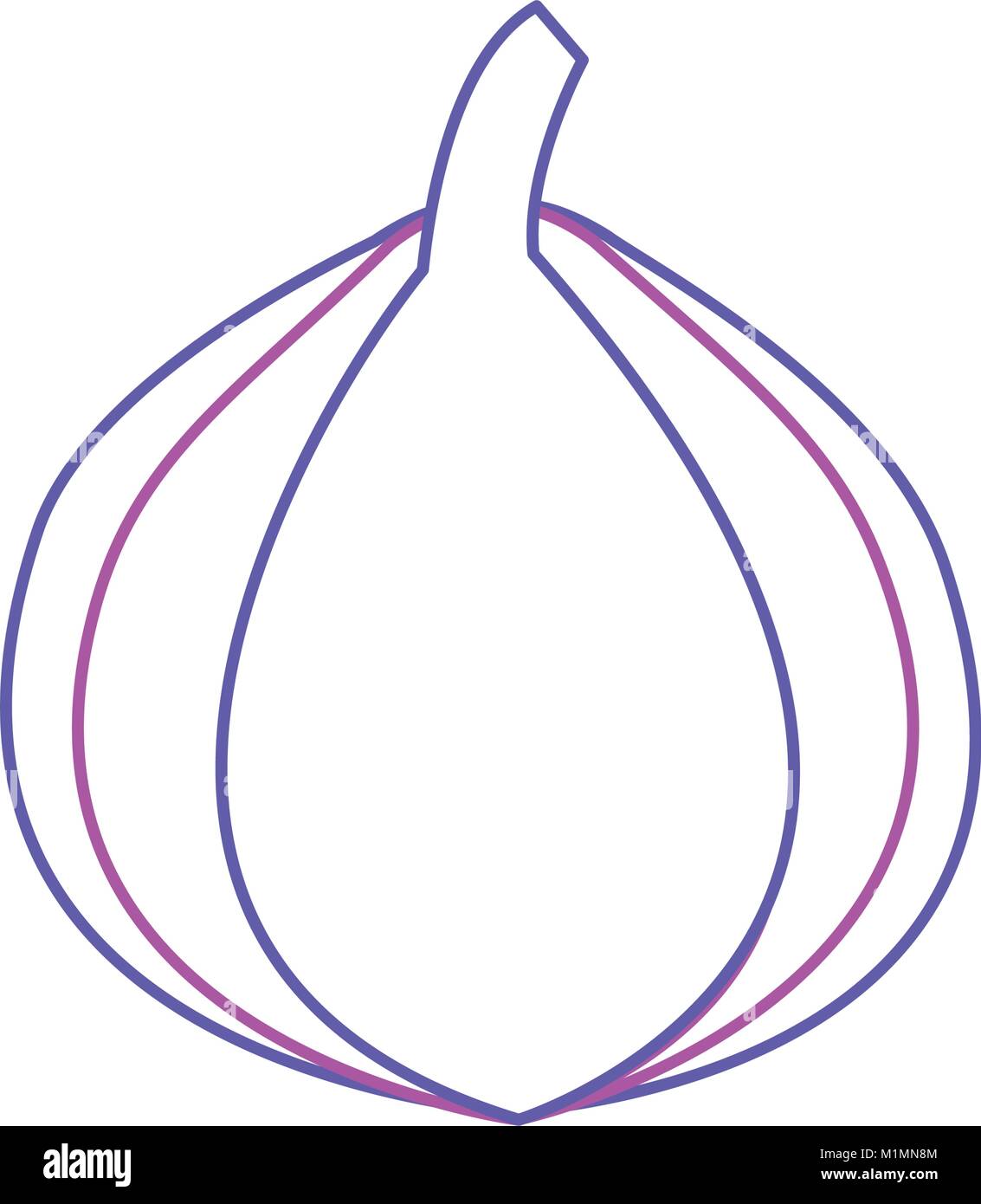 Isolated onion design Stock Vector Image & Art - Alamy