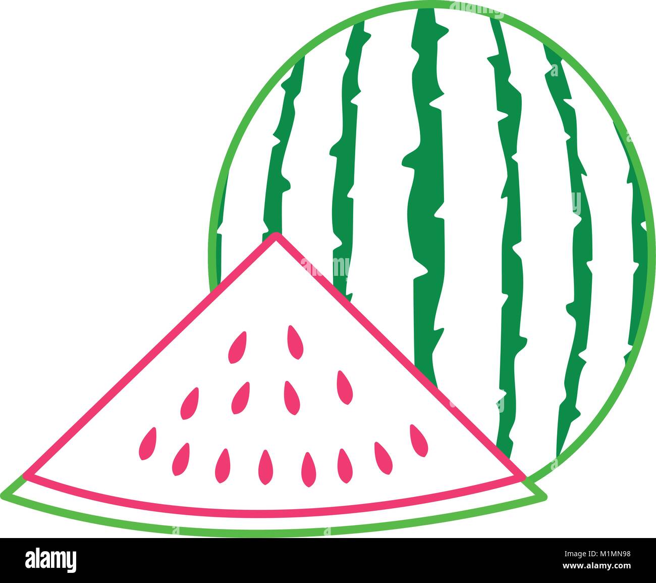 Isolated watermelon design Stock Vector Image & Art - Alamy