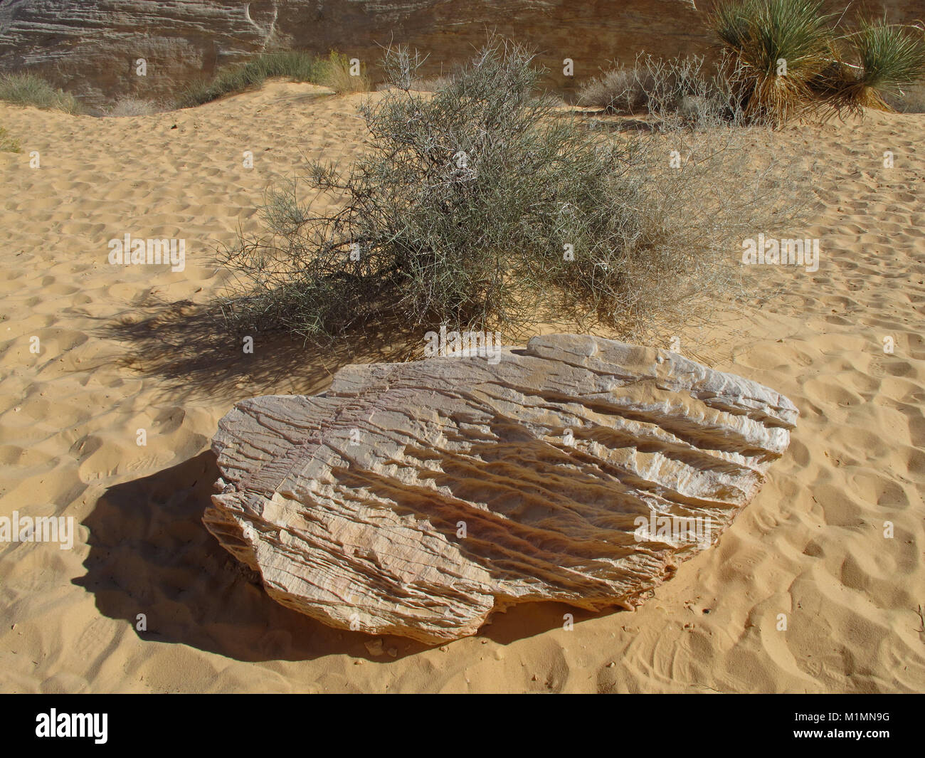 Boulder county fire hi-res stock photography and images - Alamy