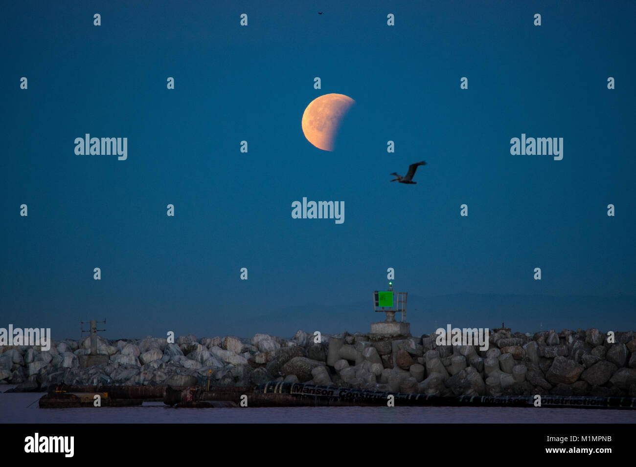 Super Blue Blood Moon during partial lunar eclipse Stock Photo - Alamy