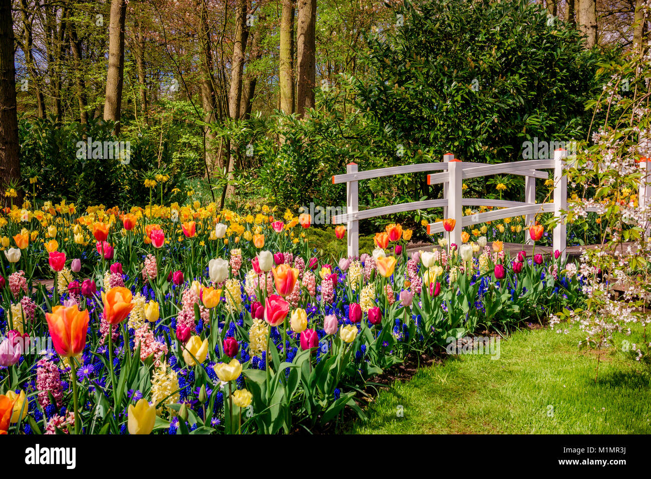 Beautiful garden. Park in The Spring. Spring landscape Stock Photo - Alamy