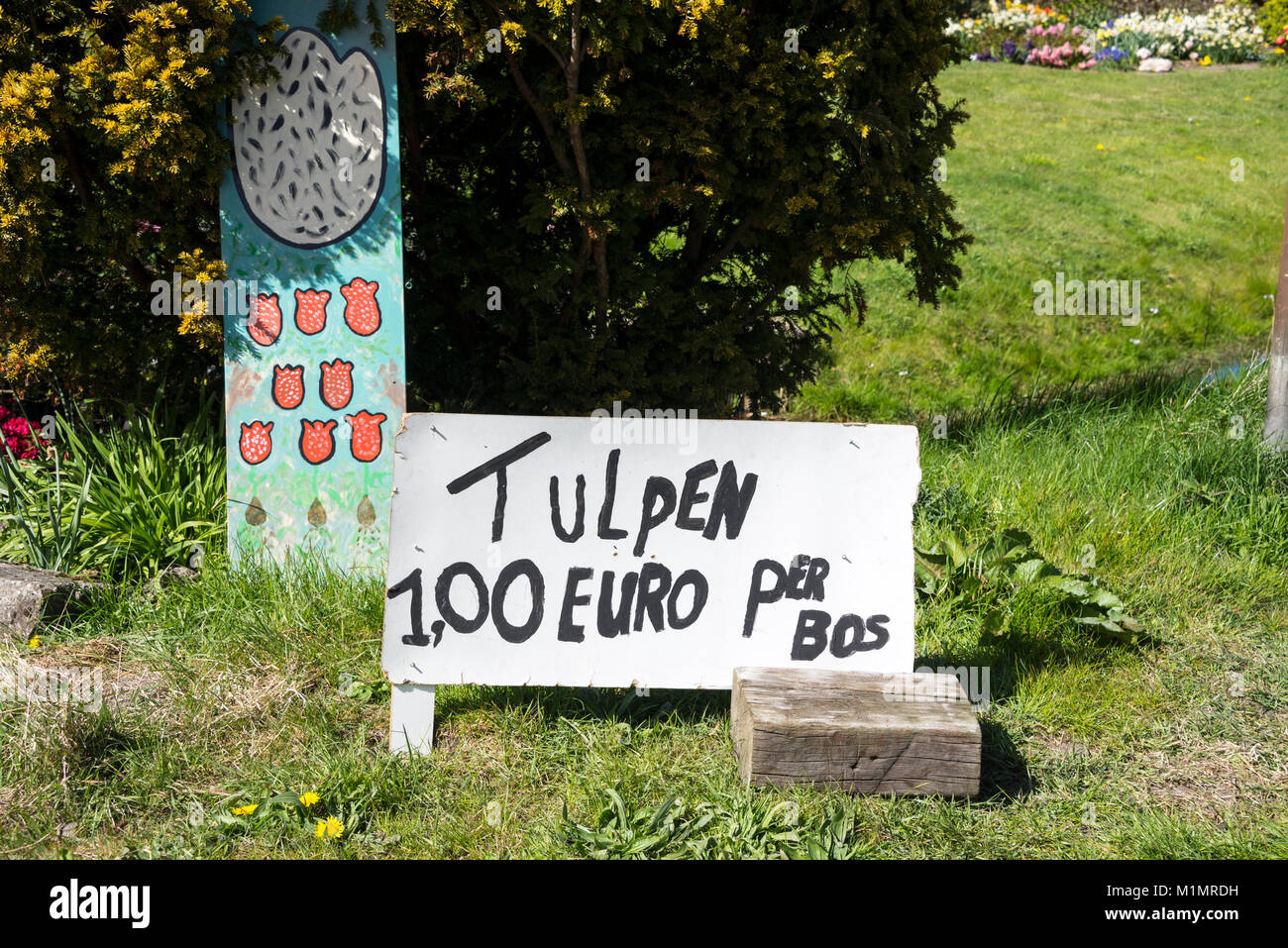 A For Sale tulip sign seen at some of the tulip farms close to the ...