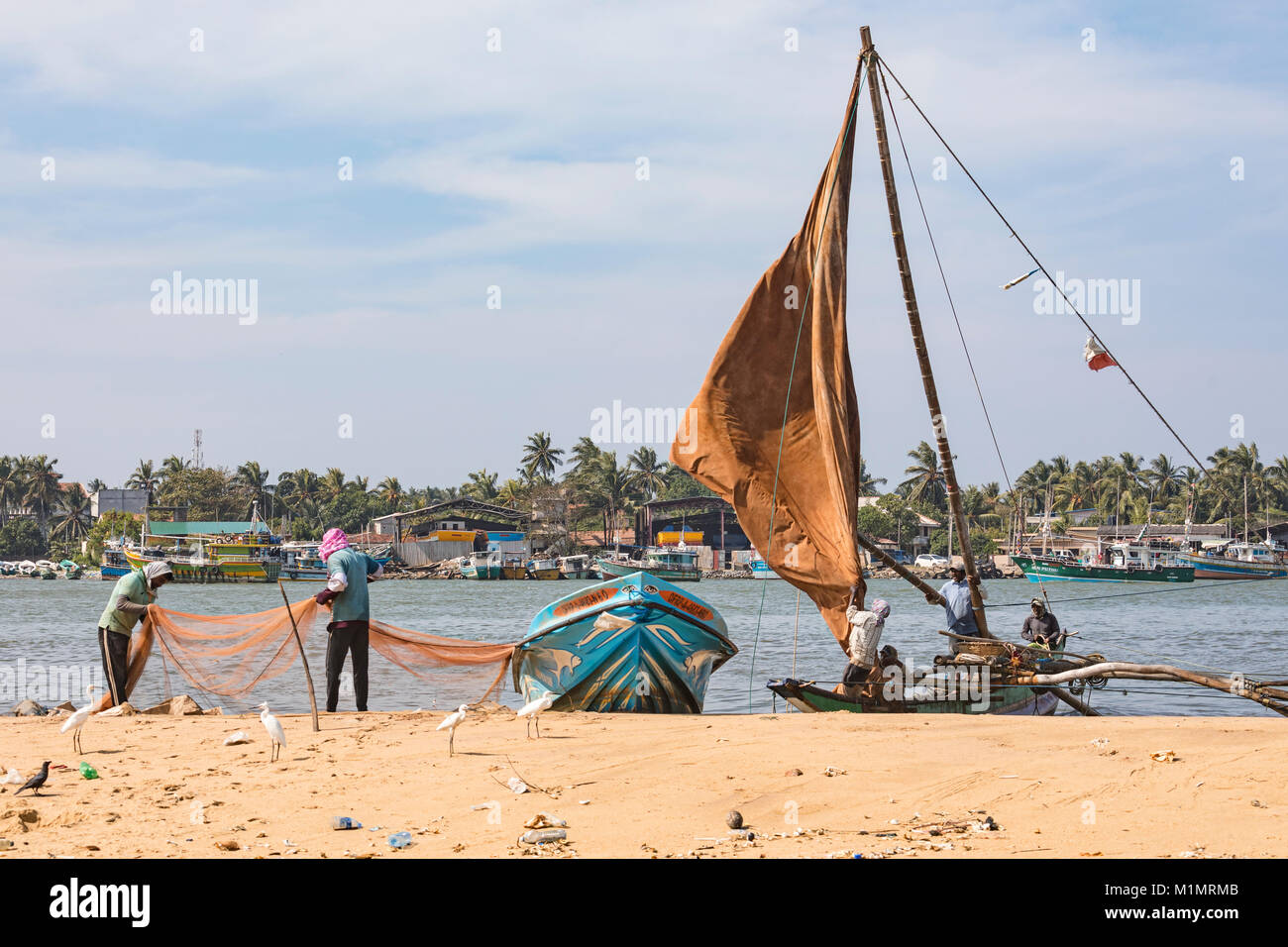 local life in working harbour in Negombo, Colombo, Western Province ...