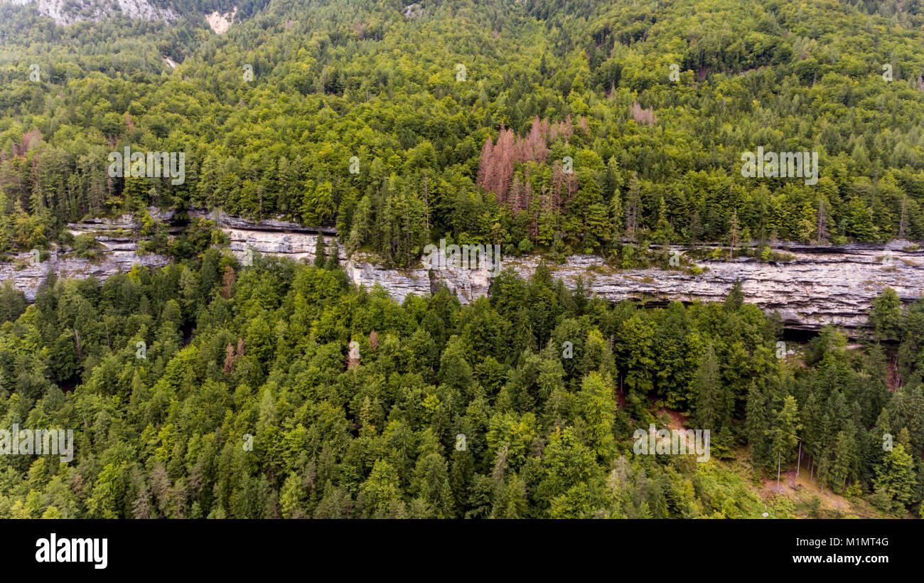 Side view of stone wall above forest Stock Photo - Alamy