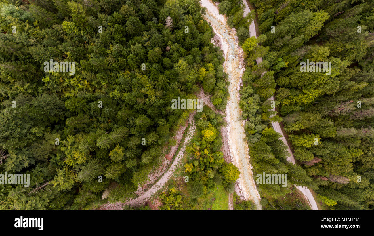 Drop down view of river bed running through a forest Stock Photo - Alamy