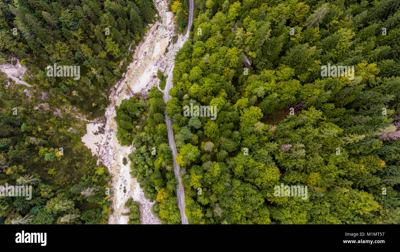 Drop down view of river bed running through a forest Stock Photo - Alamy
