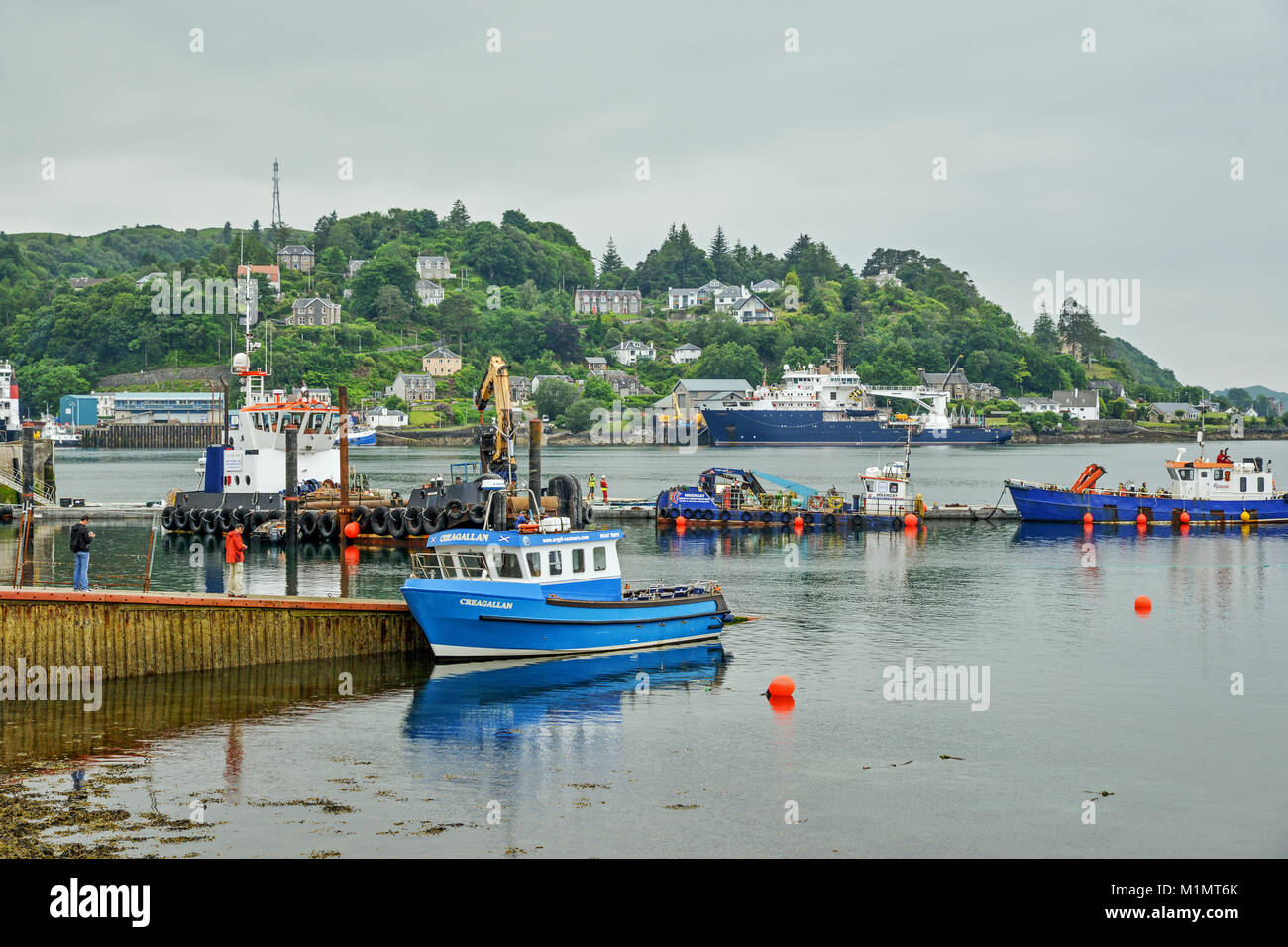 Scottish harbors hi-res stock photography and images - Alamy