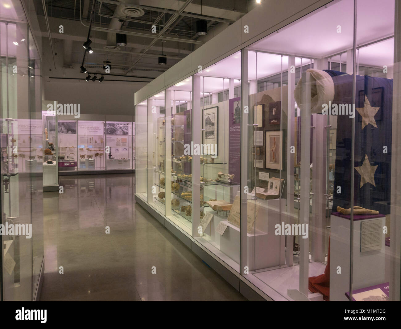 General view of displays in the National Museum of Health and Medicine ...