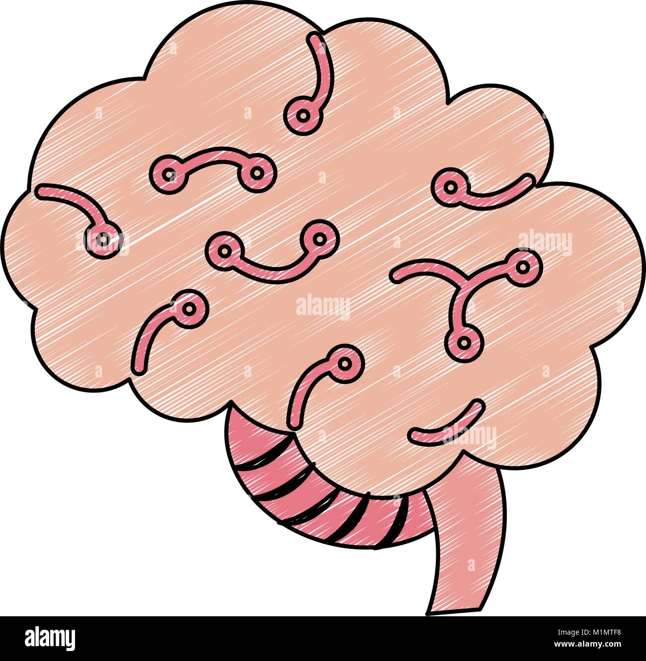 Human brain scribble icon vector Stock Vector Images - Alamy