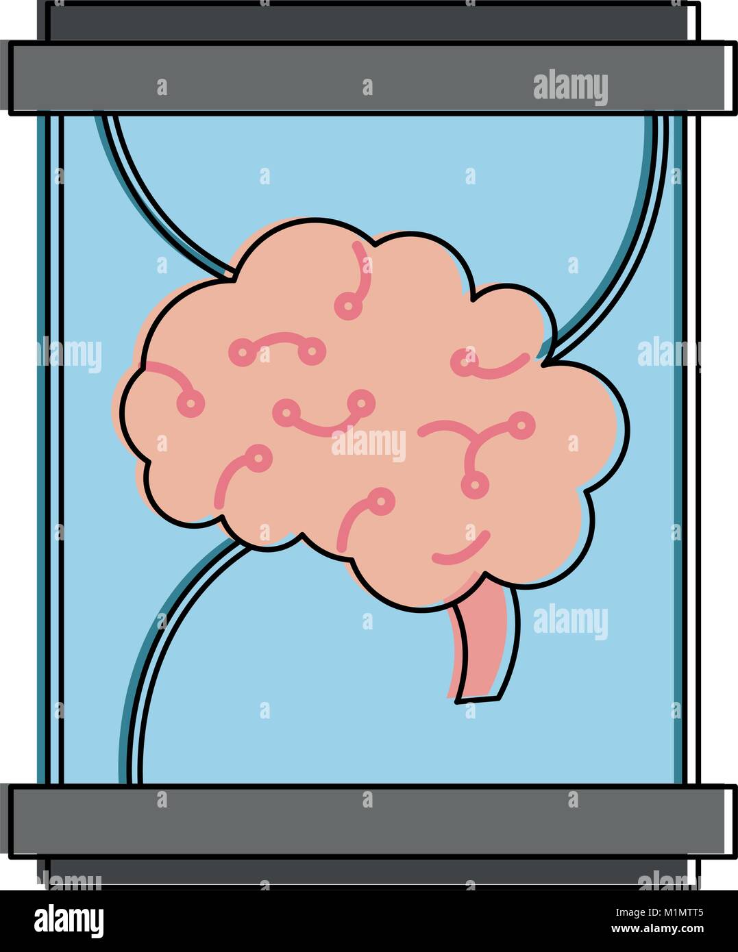 Human brain into glass container Stock Vector Image & Art - Alamy