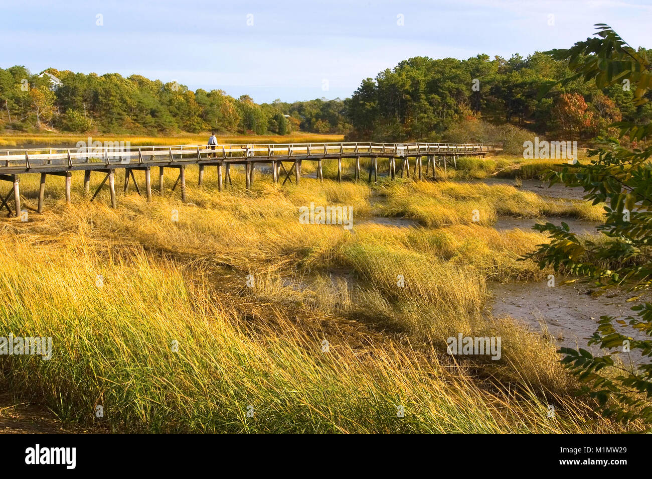 Uncle Tim's Footbridge transits a marsh in Wellfleet, Massachusetts on ...
