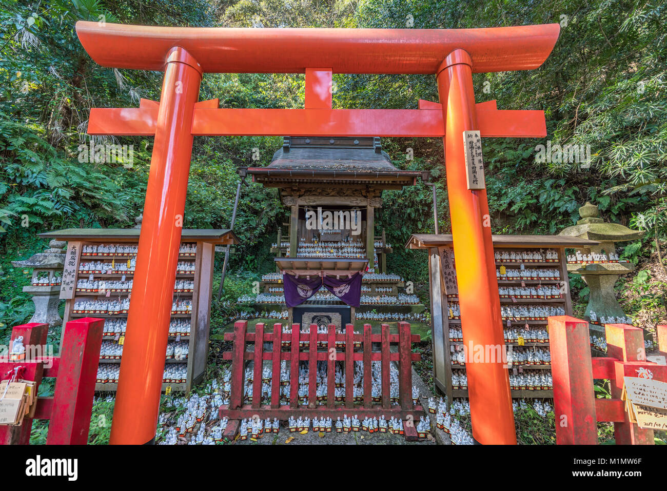 Sasuke inari shrine hi-res stock photography and images - Alamy