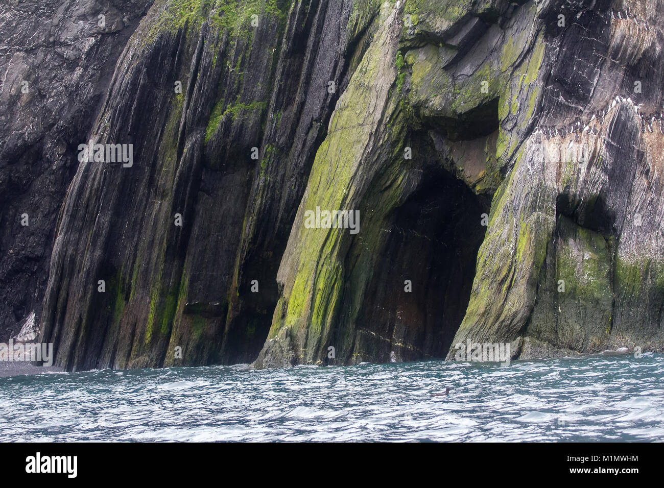 Rotated geological layers. Softer sedimentary rocks eroded by waves and ...