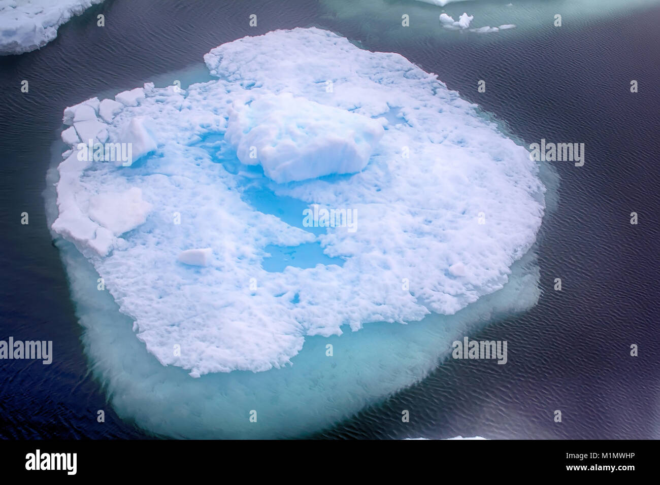 Little floe (first-year ice) during spring thaw, drift ice, ice pack ...