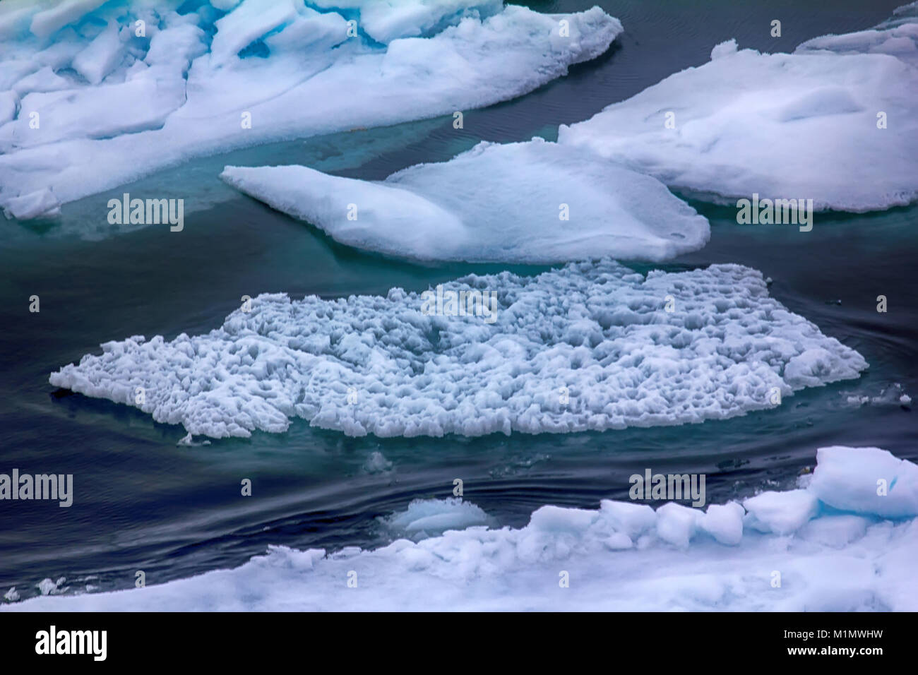 Little floe (first-year ice) during spring thaw, drift ice, ice pack ...