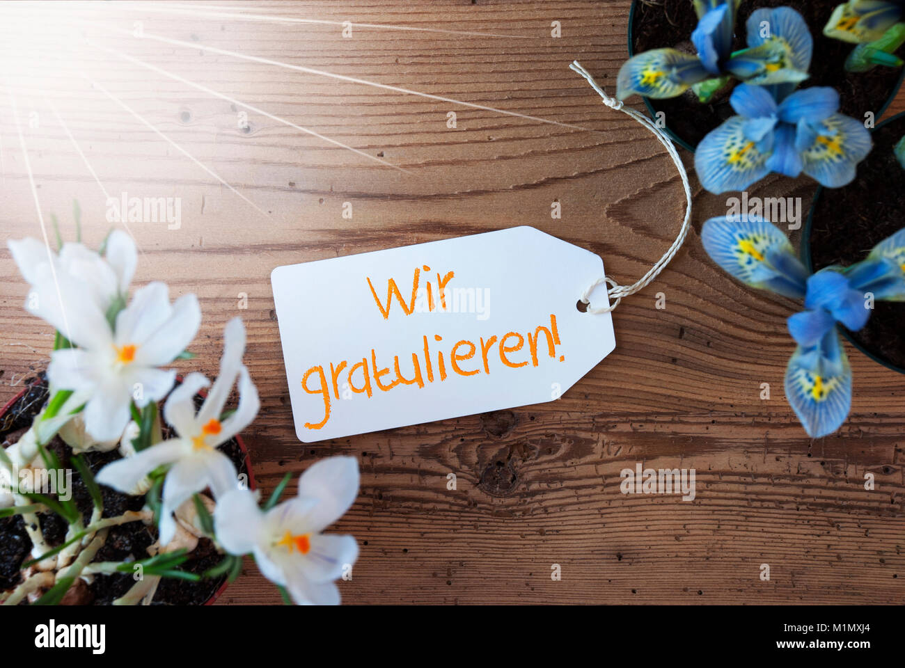 Sunny Flowers, Label, Wir Gratulieren Means Congratulations Stock Photo ...